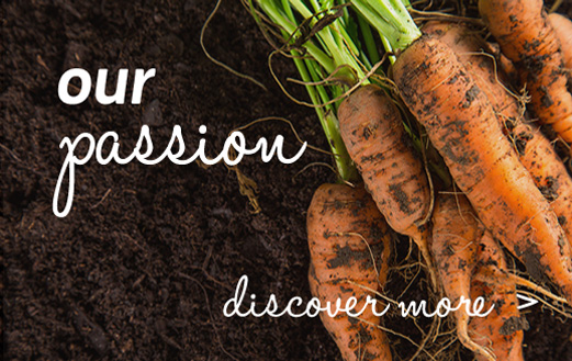 Our Food | Nationwide Produce | Nationwide Produce